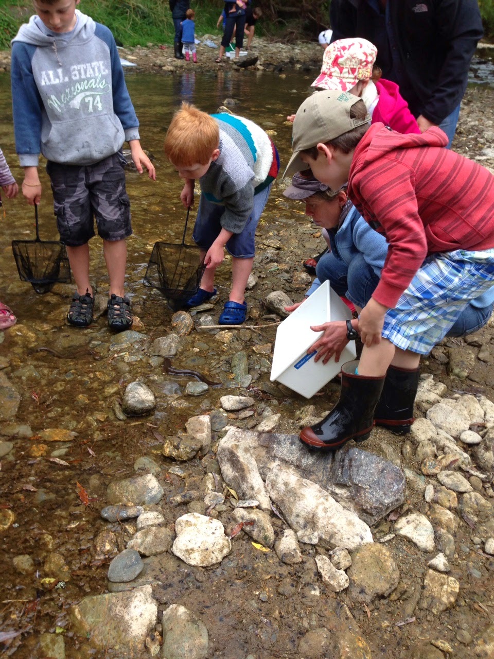 The Howard Families Awesome Adventures: Kid Conservation Club outing ...