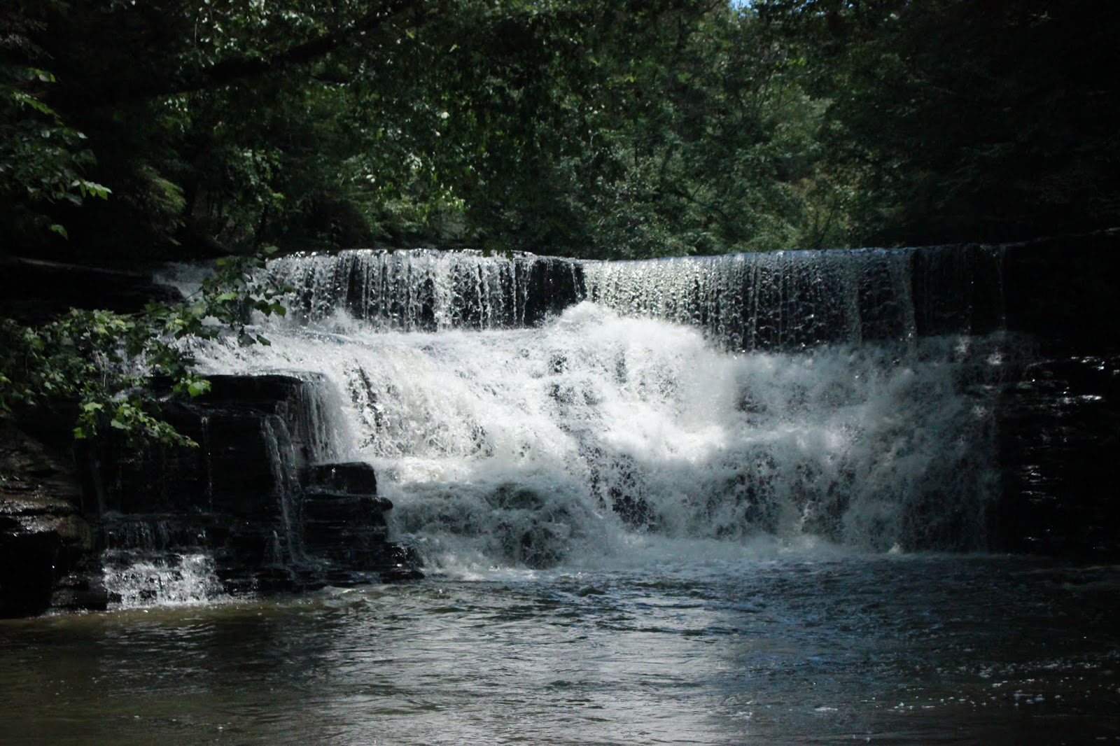 Cumberland Gal: Window Cliffs State Natural Area Hike