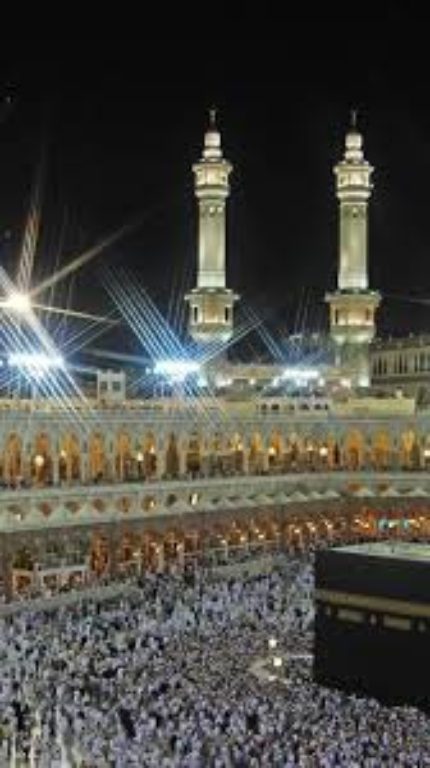 Macca Wallpaper HD - Wallpaper Box