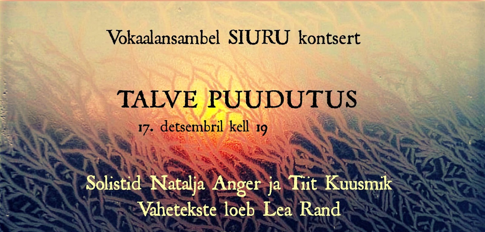 TOILA VALLA LEHT: Siuru lõpetab aaasta Toila seltsimajas