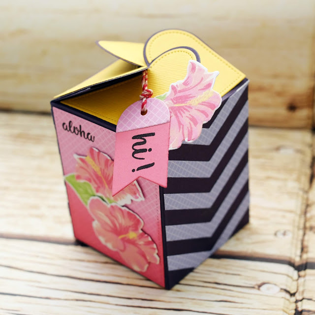 Sunny Studio: Wrap Around Box Dies Projects with Rachel and Lexa
