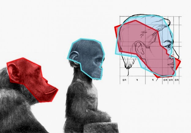 NATURESPERIT: EVOLUCIÓ HUMANA I ANIMAL