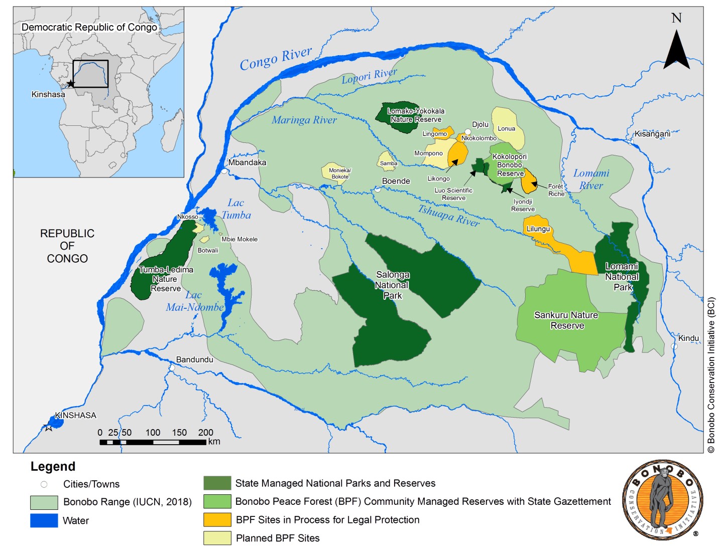 Los bonobos: dale una oportunidad a la paz.