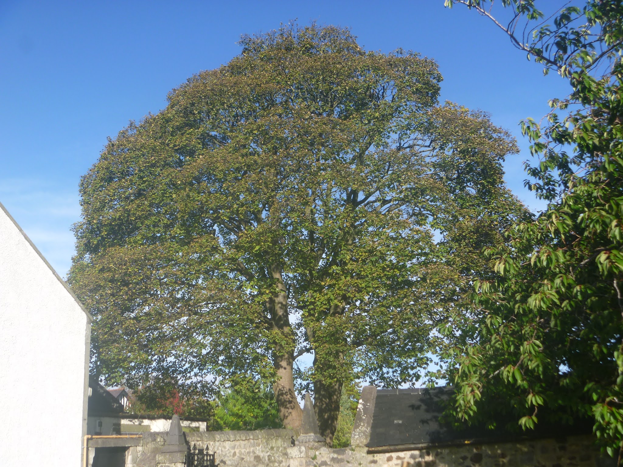 Crafty Green Poet: Two Historic Cemeteries in Edinburgh
