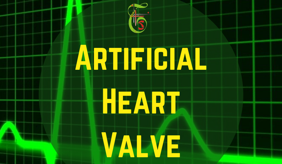 Artificial Heart Valve | Heart Valve Replacement | Material used ...