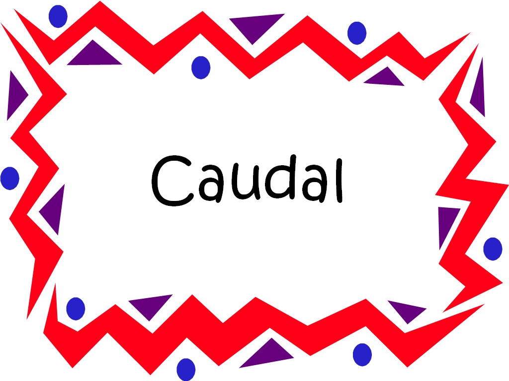 Student Survive 2 Thrive: Free Medical Terminology Flash Cards ...