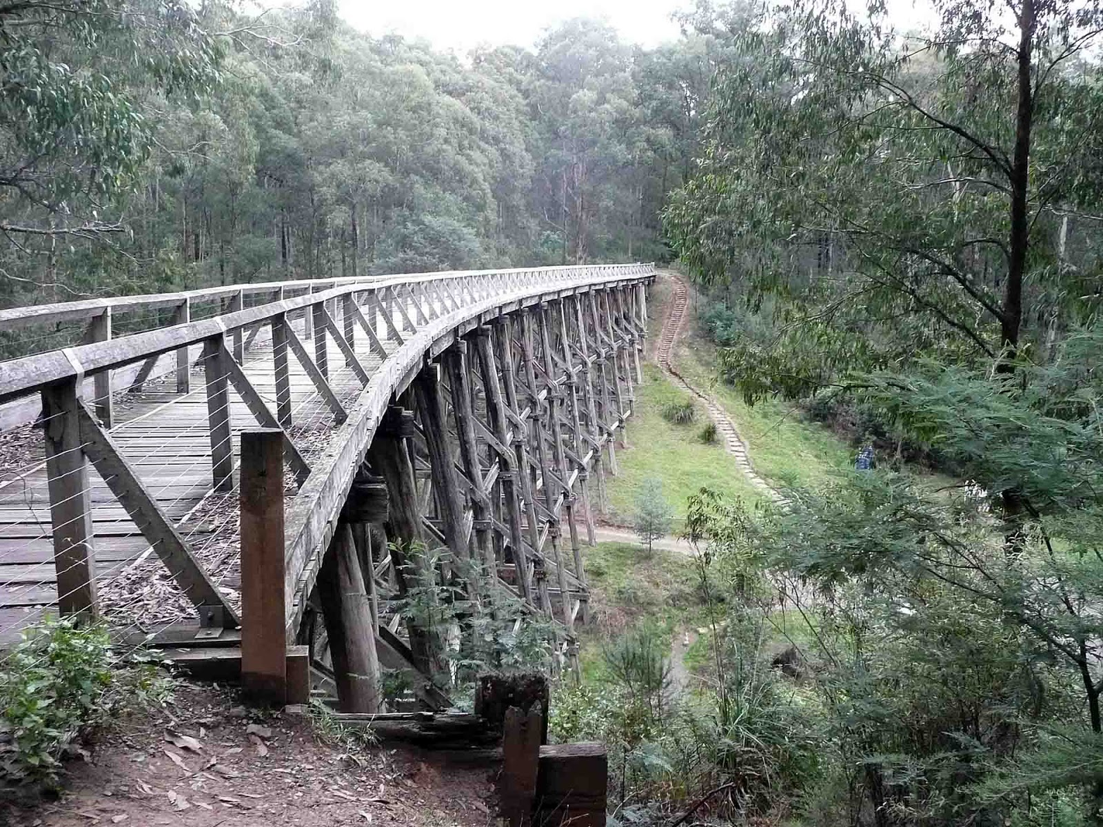 Abandoned But Not Forgotten: Noojee Line - Bridge Number 7