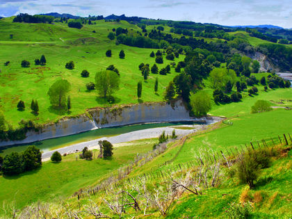Environment, Law, and History: Environmental protection in New Zealand