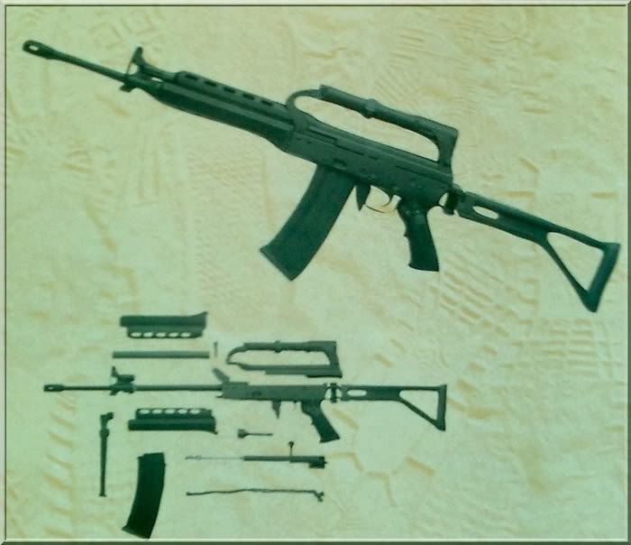 Blog de las Fuerzas de Defensa de la República Argentina: Fusil de ...