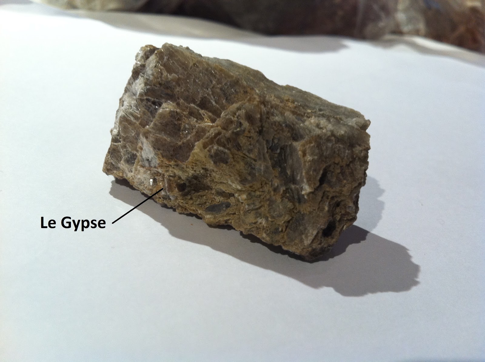 Ecole de terrain 2012