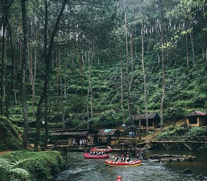 Lokasi dan Rute Hutan Pinus Rahong. Penting Biar Ga Nyasar Lokasi dan Rute Hutan Pinus Rahong. Penting Biar Ga Nyasar