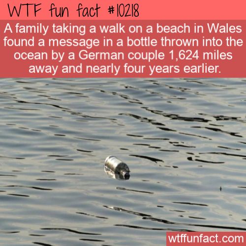 60 MIND BLOWING RANDOM WTF FUN FACTS | Amazing WTF Facts