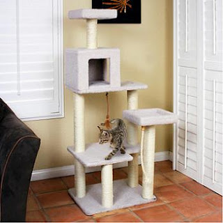 Here kitty, kitty: Review: PETCO Premium Cat Tree