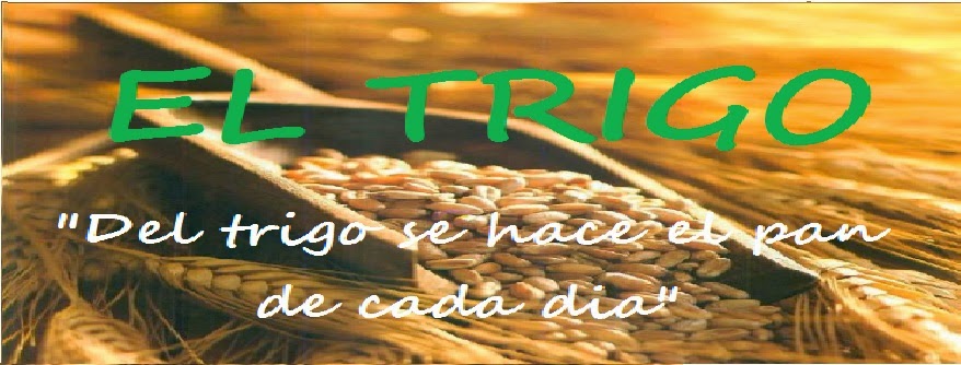 EL TRIGO