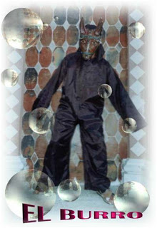 PILARES XOCHINAHUAC: Historía de la Danza de los TECUANES o TECUANIS