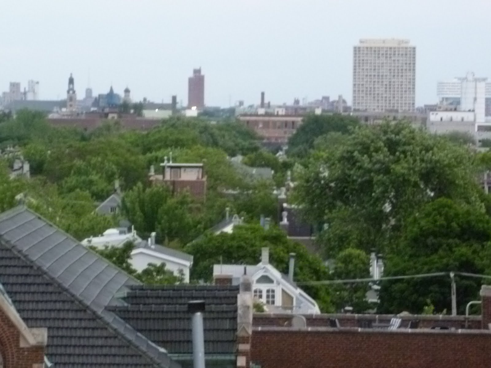 Vicissitudes of the Damned: Issue No. 81: Feather Metsch's Polaroid ...