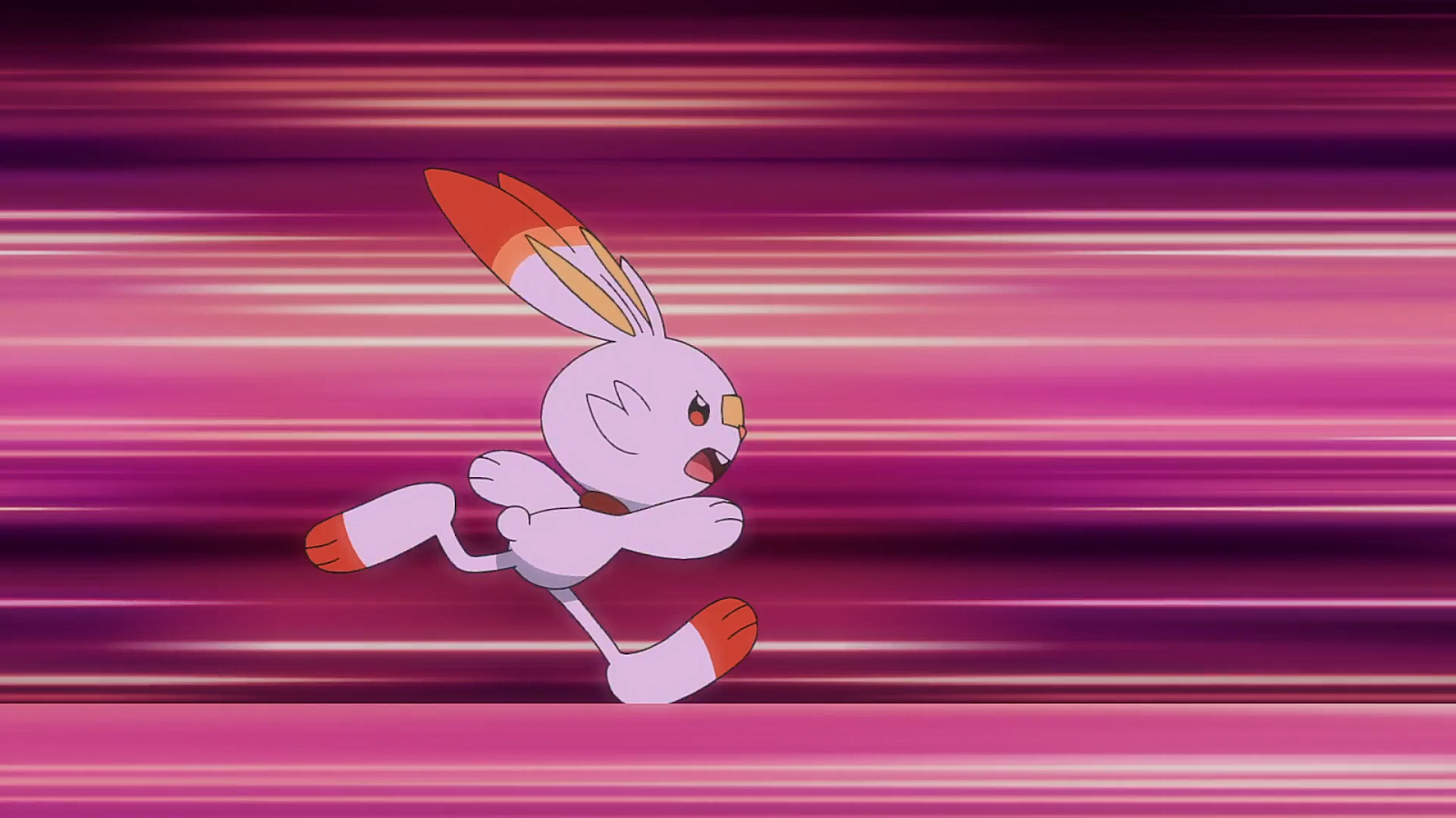 Poké-Arquivo: 813 - Scorbunny ~ PMD || Acervo de Imagens de Digimon e ...