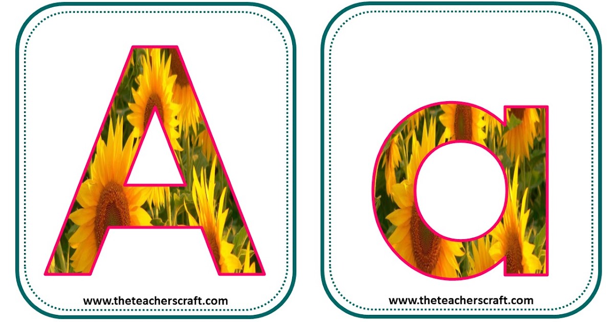 Upper/Lower Case Alphabet - The Teacher's Craft