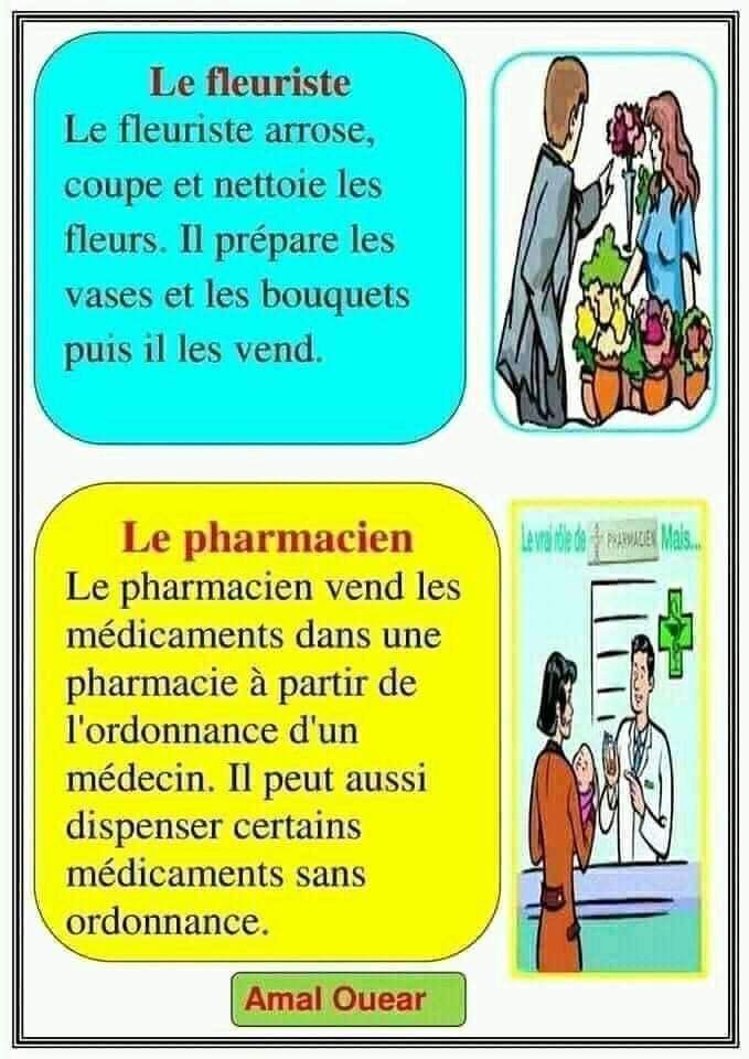 Module 5 : Les métiers et les professions (le travail et les loisirs)