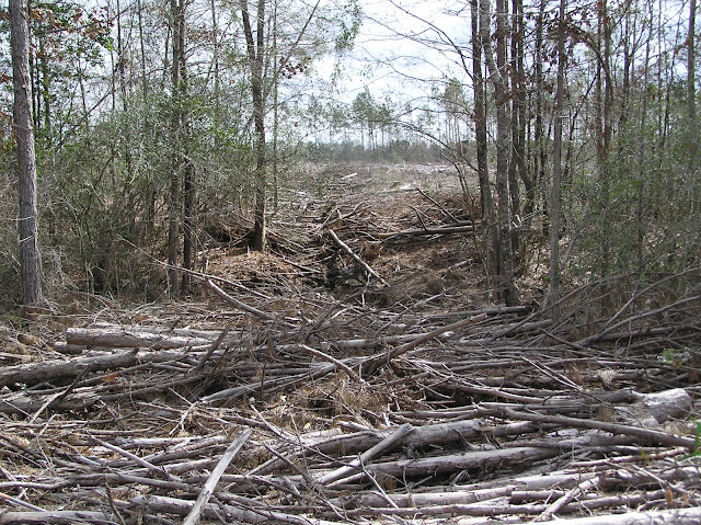Texas A&M Forest Service: Water Resources: Utilization of logging ...