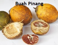 Anim Agro Technology: POKOK PINANG - APA POTENSINYA