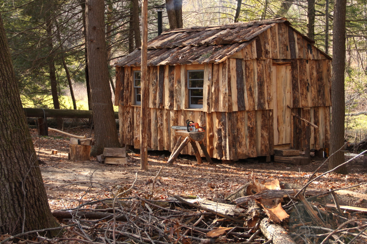 BRADLEY's BLOG: Link to 10' x 10' Ontario cabin built with slabwood ...