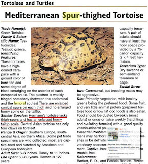 Birds To Dinosaur: Python Vestigial Pelvis, Femur and Spur