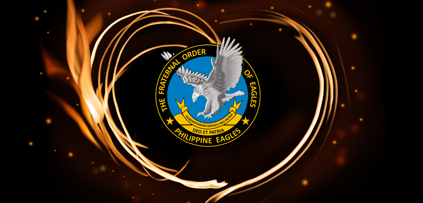 Free TFOE-PE Wallpapers 1-70