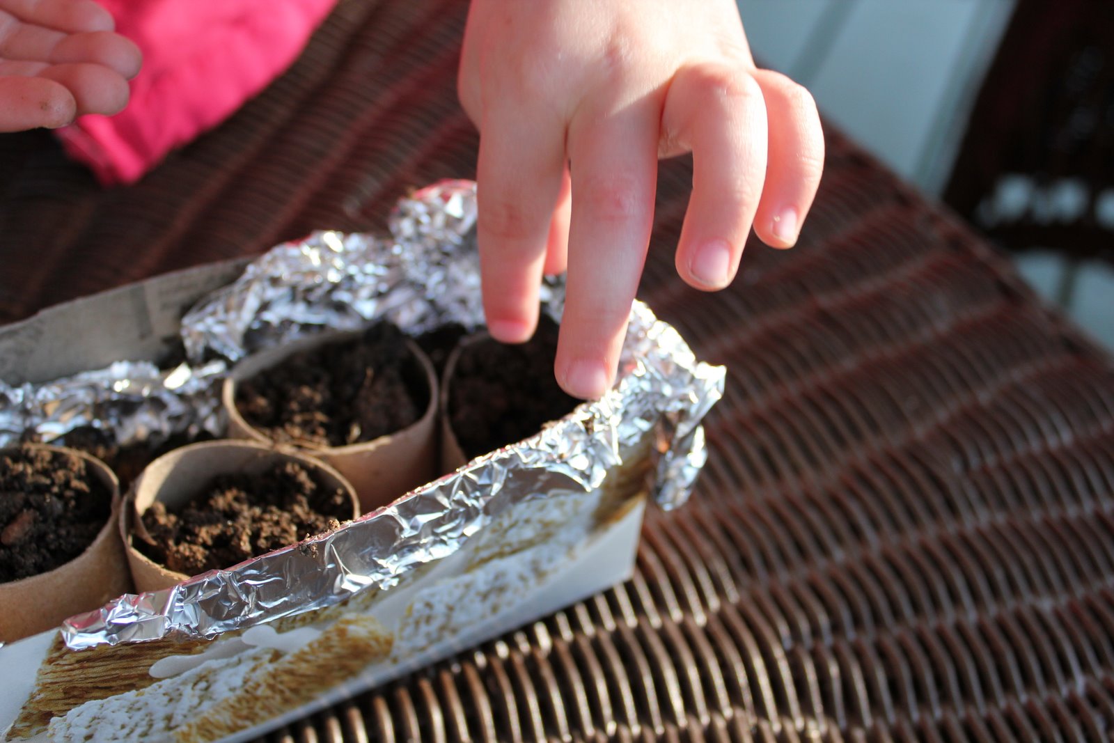 THE MUDDY PRINCESS: Planting Flowers