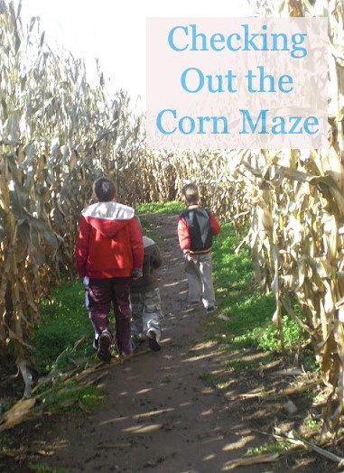 Our Day At the Corn maze