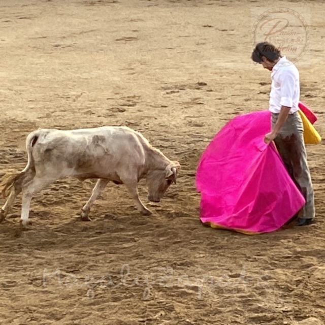 DETOROS Y MAS: Miren cómo embiste…