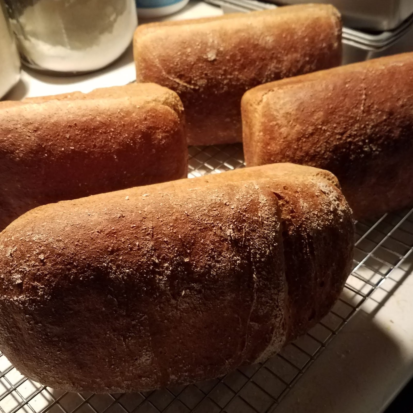The Life of Bread, from Sea Level to 4500 feet!, Tips, tricks and a bit ...