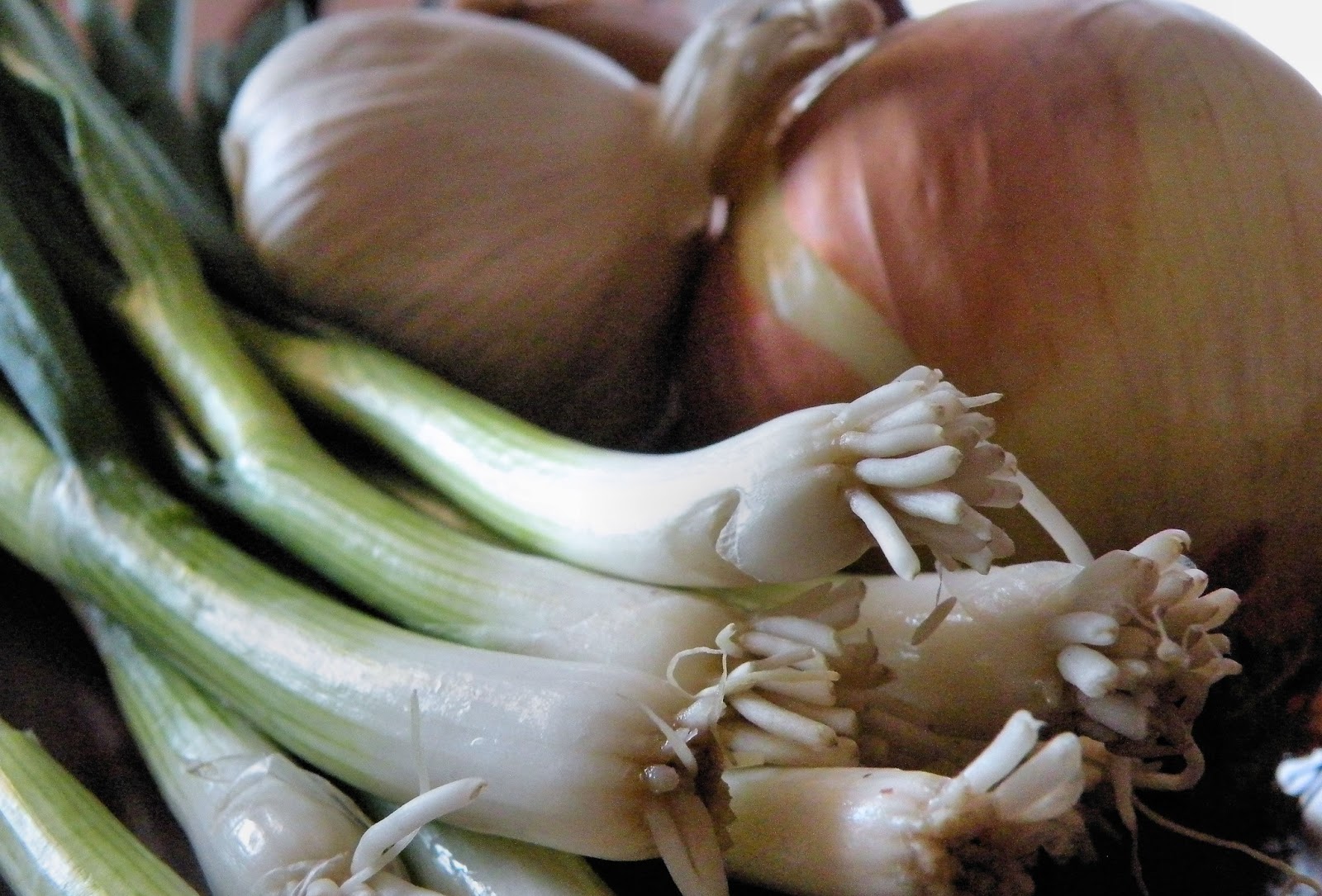 Little Mama: Super Food ... Allium Family