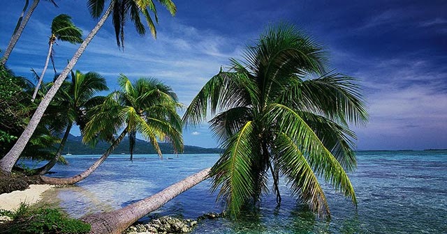 FORESTRY - LEARNING: WHAT IS THE TROPICS | Tropics Are The Regions Of ...