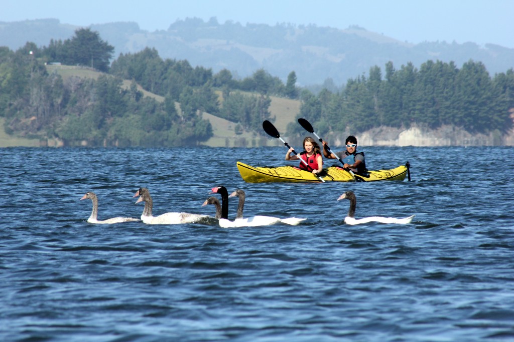 Mario Esparza: Lago Budi - Araucanía - Chile