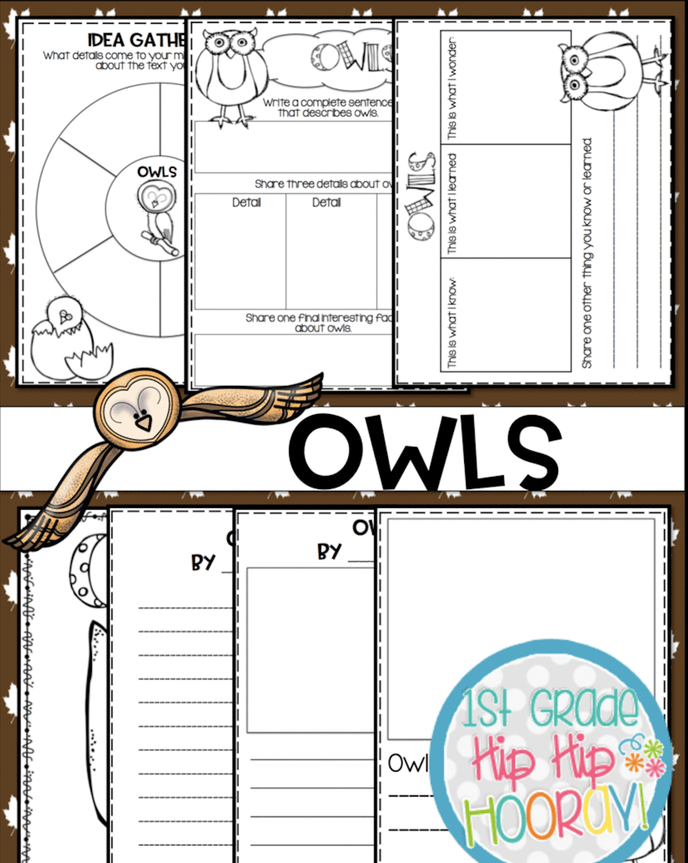 1st Grade Hip Hip Hooray!: Using informational text to research owls!