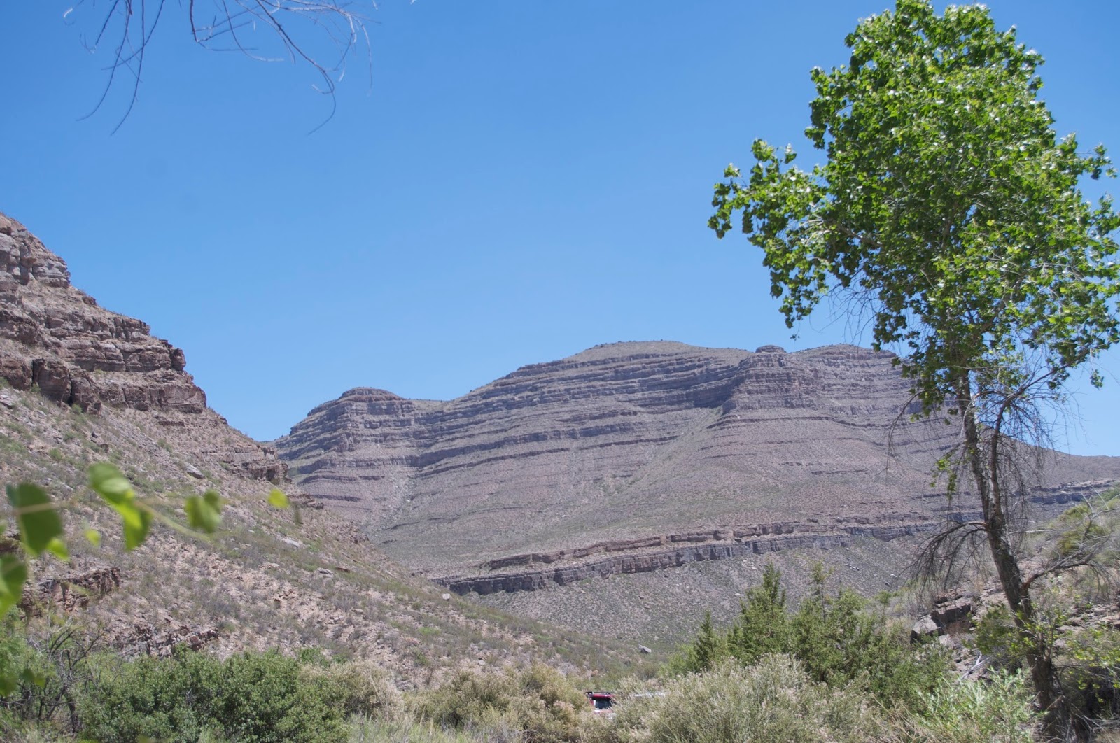 Southern New Mexico Explorer: Hembrillo Canyon
