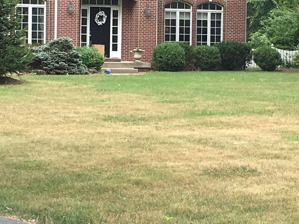 How To Fix A Scalped Lawn - Best Manual Lawn Aerator