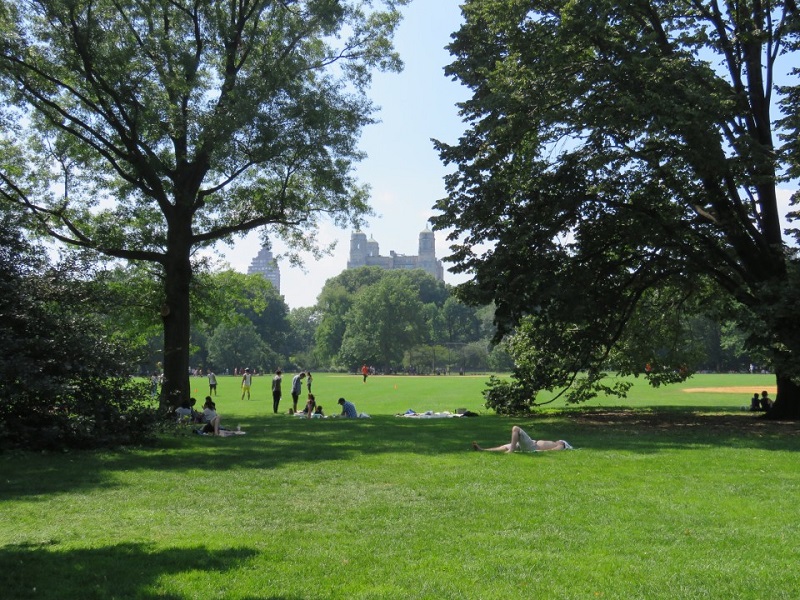 Elena's Legacy. Texts written by Elena, excerpts from texts she liked ...