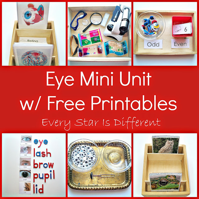 Eye Mini Unit w/ Free Printables - Every Star Is Different