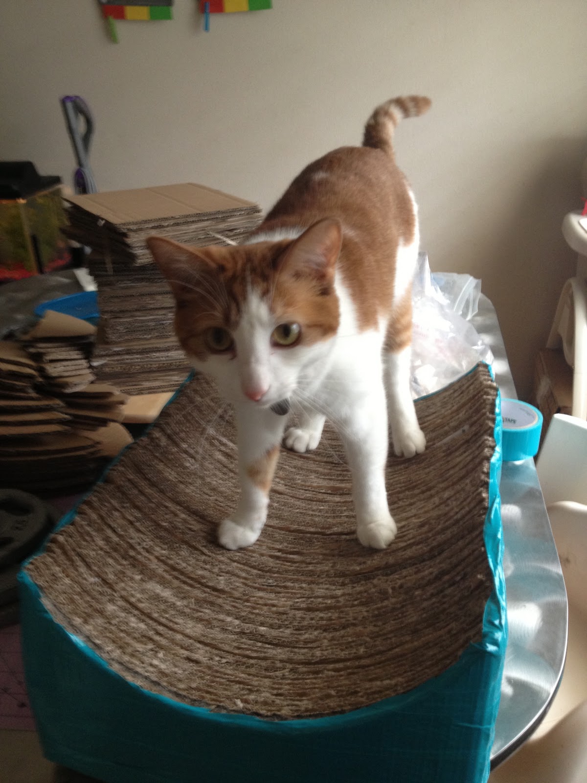 Crafts by Kimi Jo: Sunday May 26 2013 (cardboard scratcher)