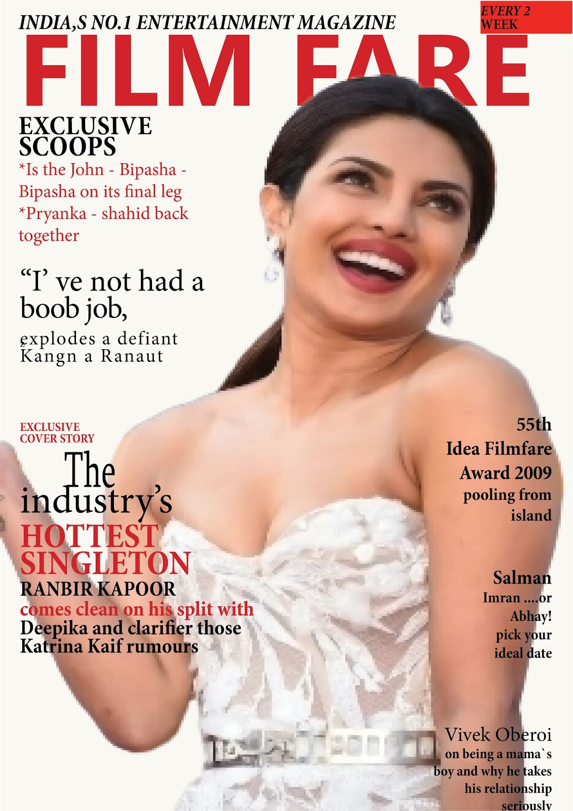 Chandni Designs Magazine Cover In Illustrator Chandni Designs Magazine Cover In Illustrator