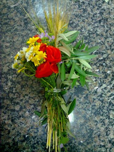 Dia da Espiga sua origem, história e significados