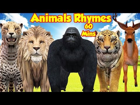 Animals Finger Family Cartoon Nursery Rhymes for Children | Children ...