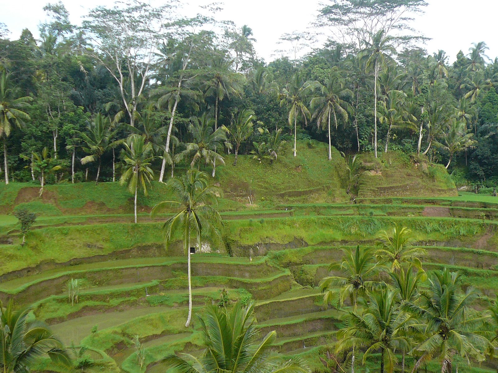 Upaya Pelestarian Tanah