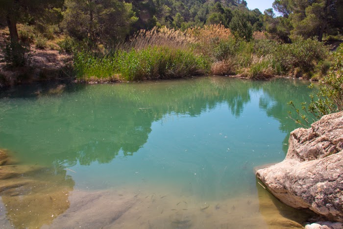 PANTANO DE LA CIERVA-FUENTE CAPUTA-RAMBLA PEREA