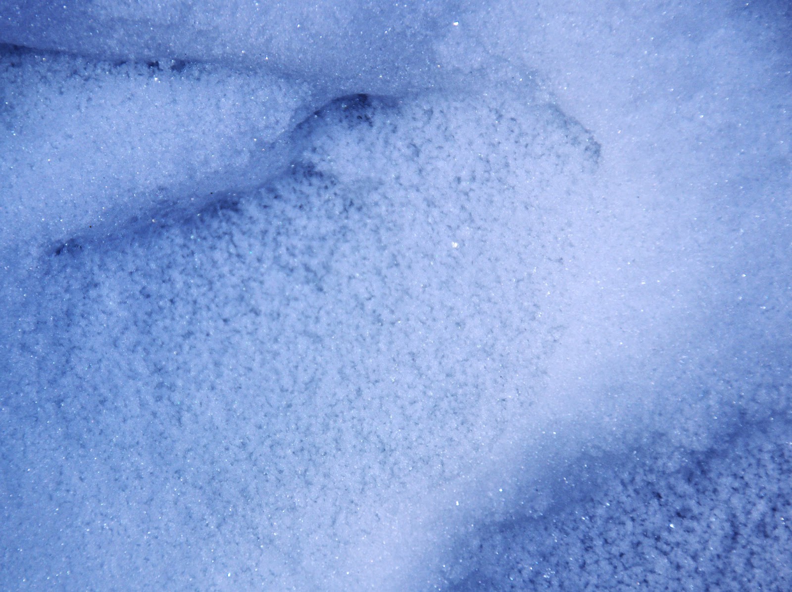 TRYKK&FOTO 2012/2013