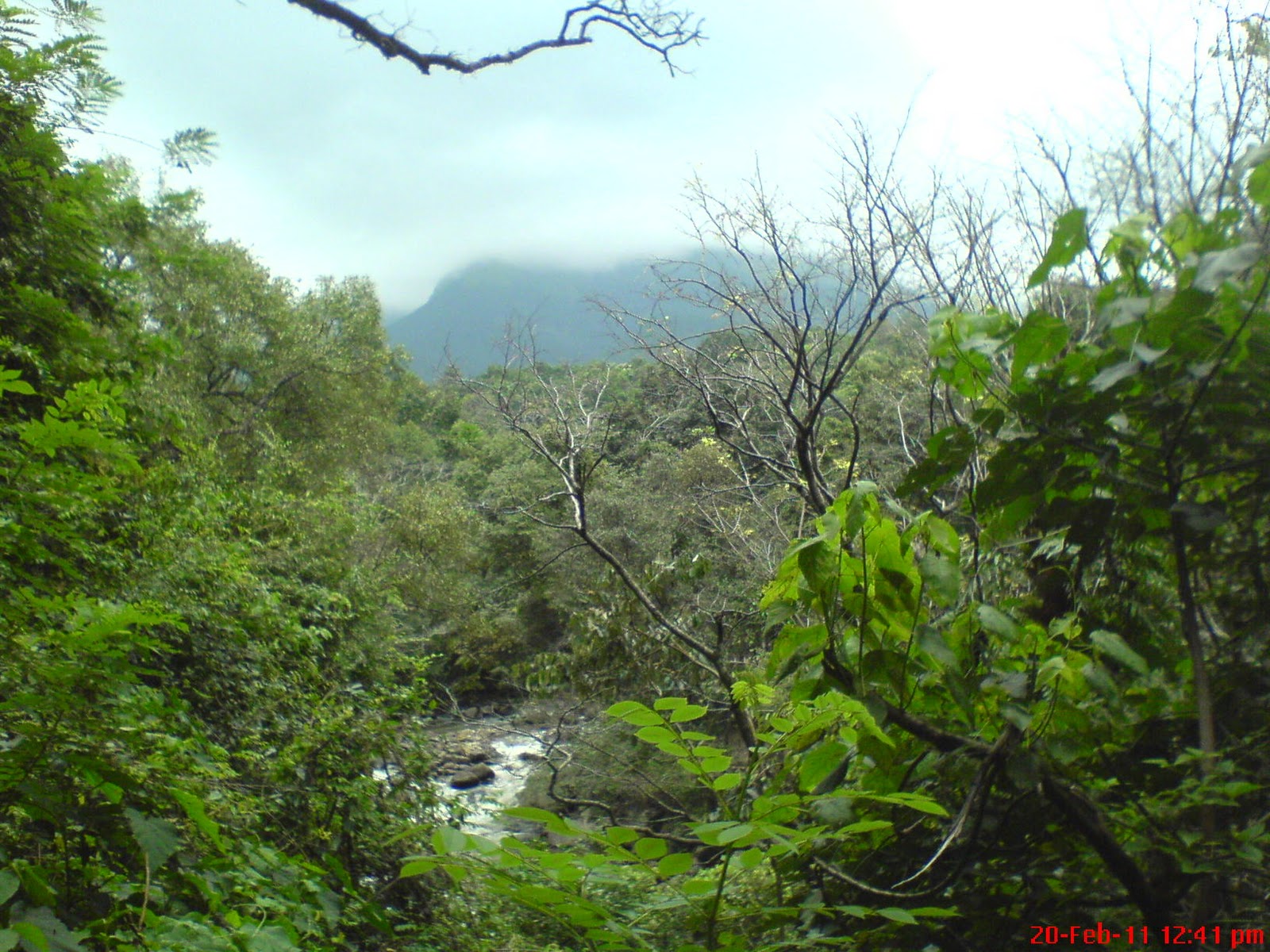 Explore Nature: Belihul Oya