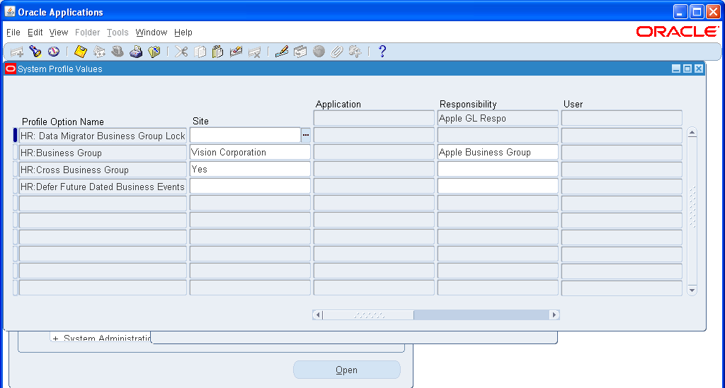 Oracle E-Business Suite R12 Financials: Defining Multi Organization