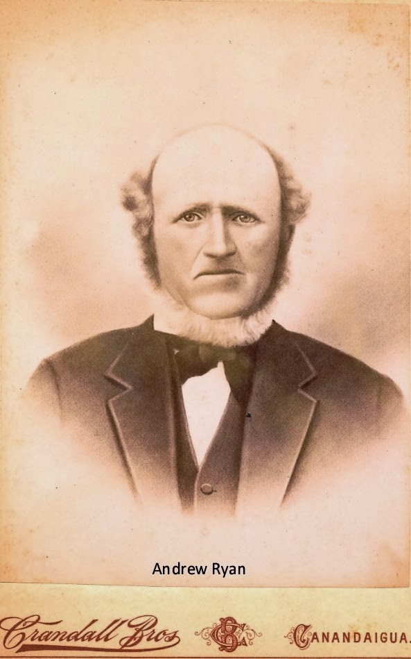 Ellie's Ancestors: Tombstone Tuesday/Andrew Ryan From Tipperary